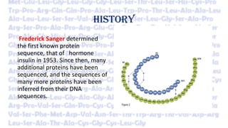 Amino acid sequencing | PPT