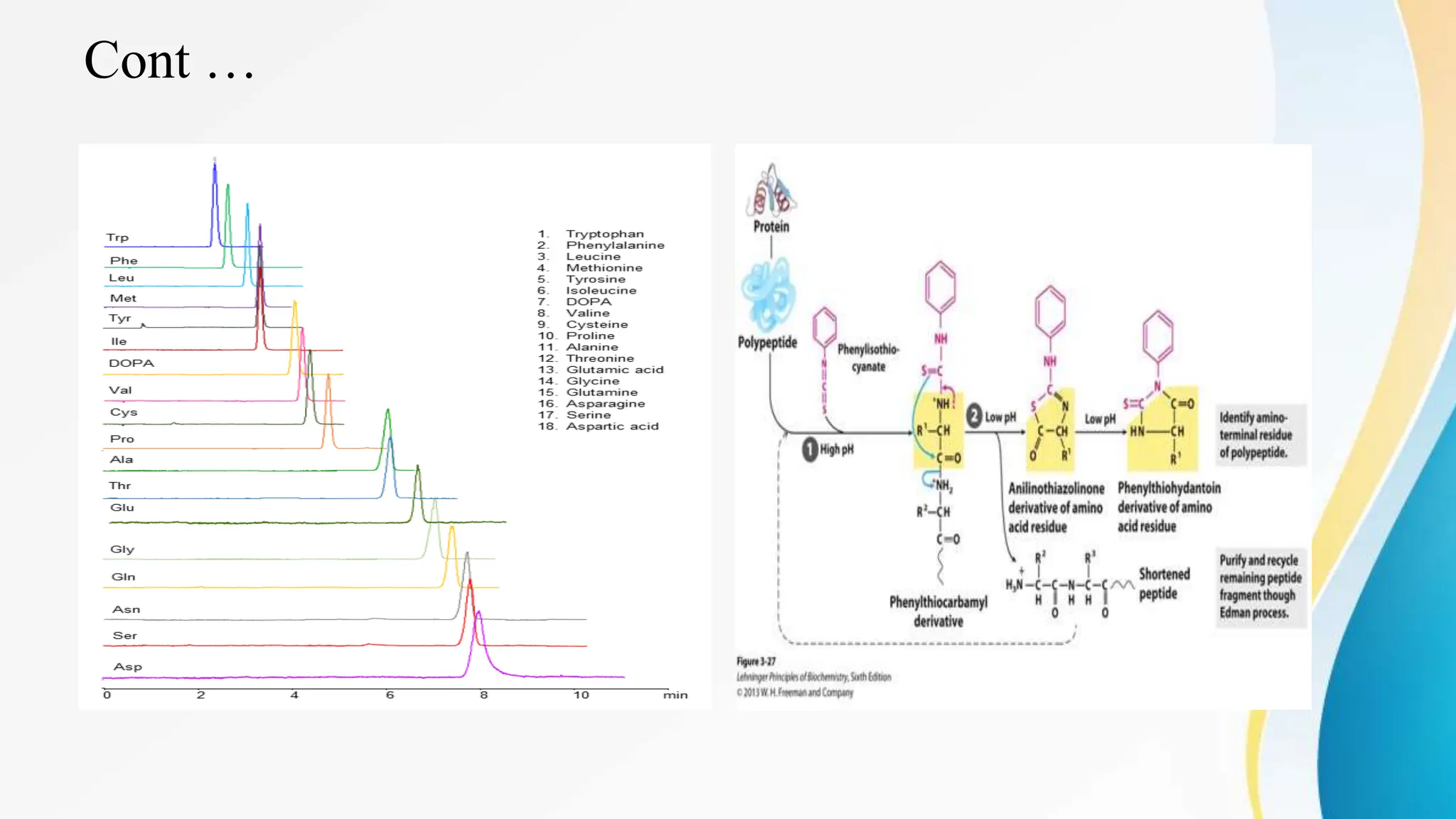 111 Amino acid sequencing by Desalegn.pptx