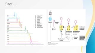 111 Amino acid sequencing by Desalegn.pptx
