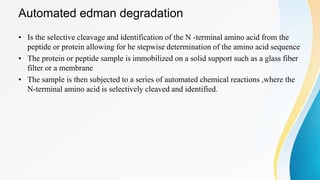 111 Amino acid sequencing by Desalegn.pptx