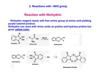 Amino acids | PPTX | Chemistry | Science