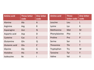 Amino acids | PPT