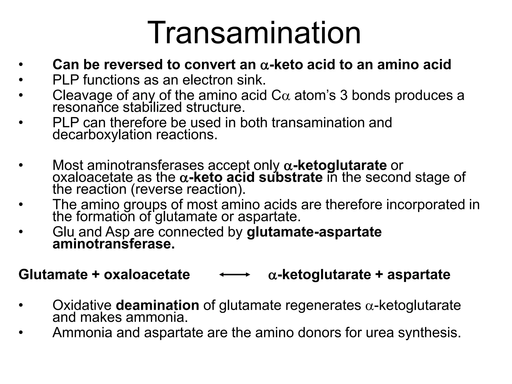 Amino acids metabolism.ppt