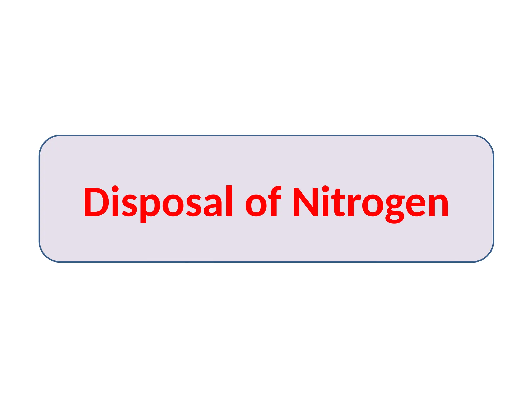 Amino acids metabolism--Disposal of Nitrogen.pptx