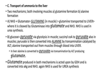 Amino acids metabolism--Disposal of Nitrogen.pptx