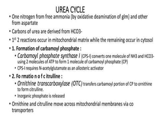 Amino acids metabolism--Disposal of Nitrogen.pptx