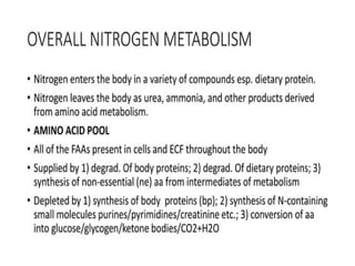 Amino acids metabolism--Disposal of Nitrogen.pptx