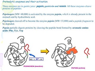 Amino acids metabolism new | PPT