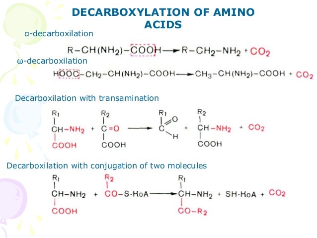 Amino acids metabolism new