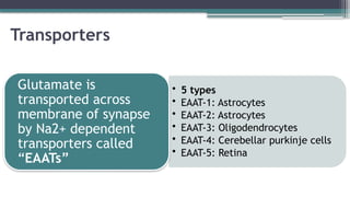 Amino Acids Neurotransmitter (Glutamate) | PPTX