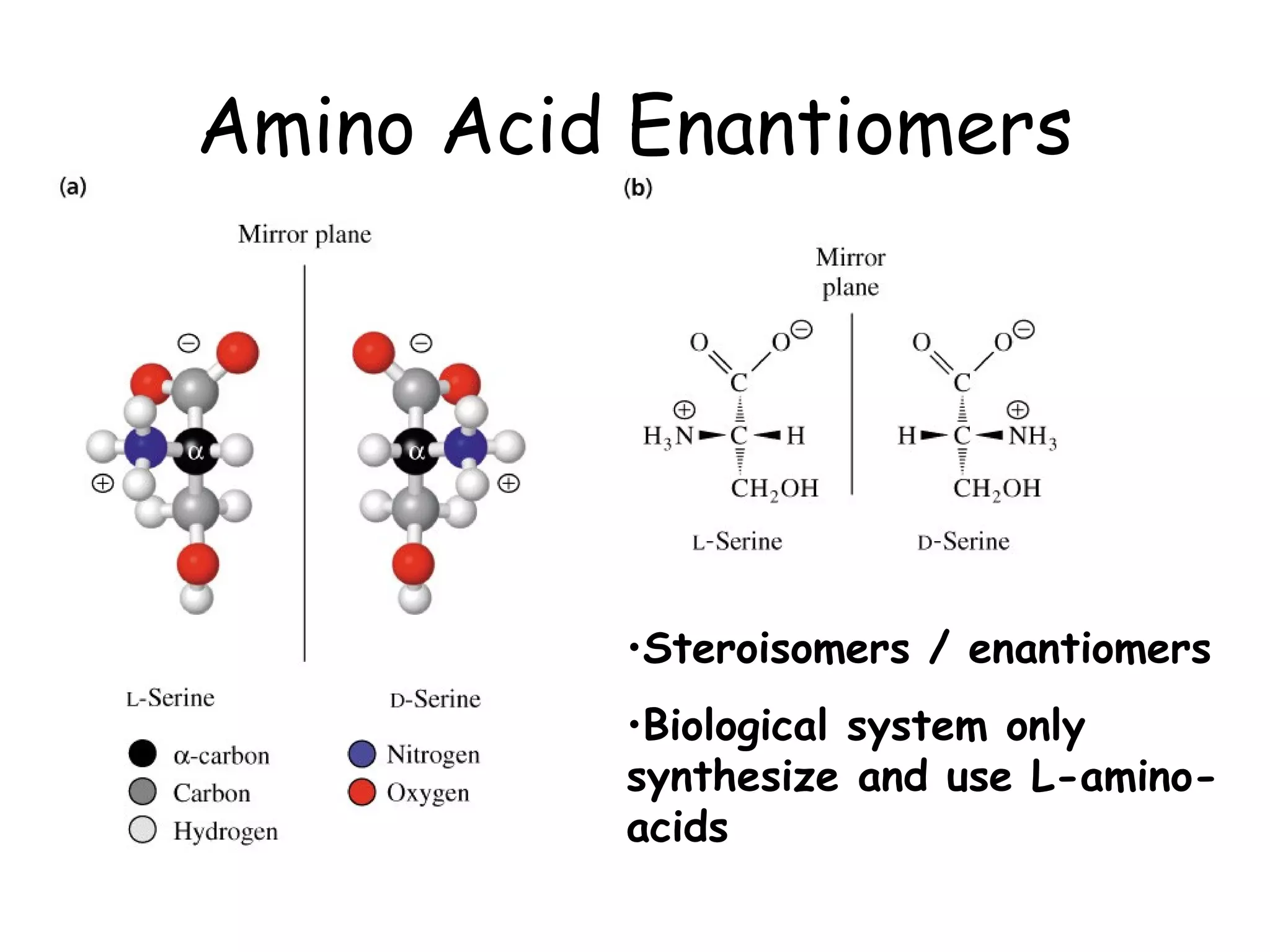 Chapter 3(part1) - Amino acids, peptides, and proteins | PPT