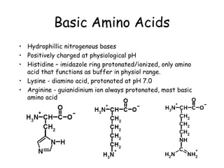 Chapter 3(part1) - Amino acids, peptides, and proteins | PPT