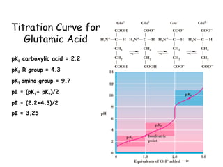 Titration Curve Amino Acid