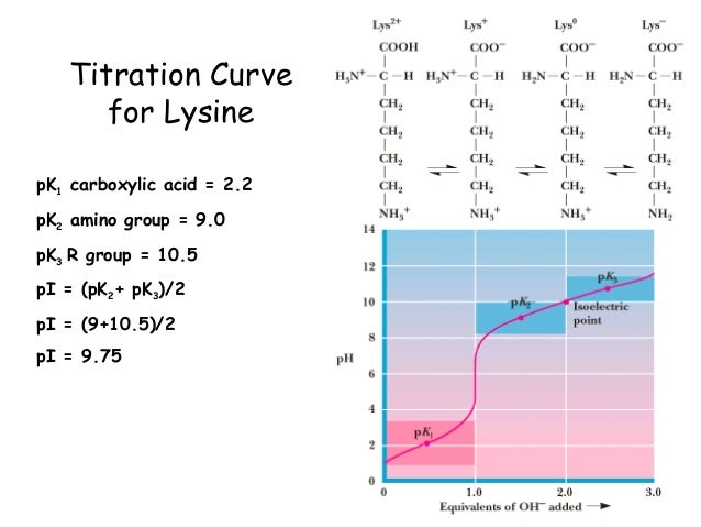 Calculate pi of lysine - sharesladeg