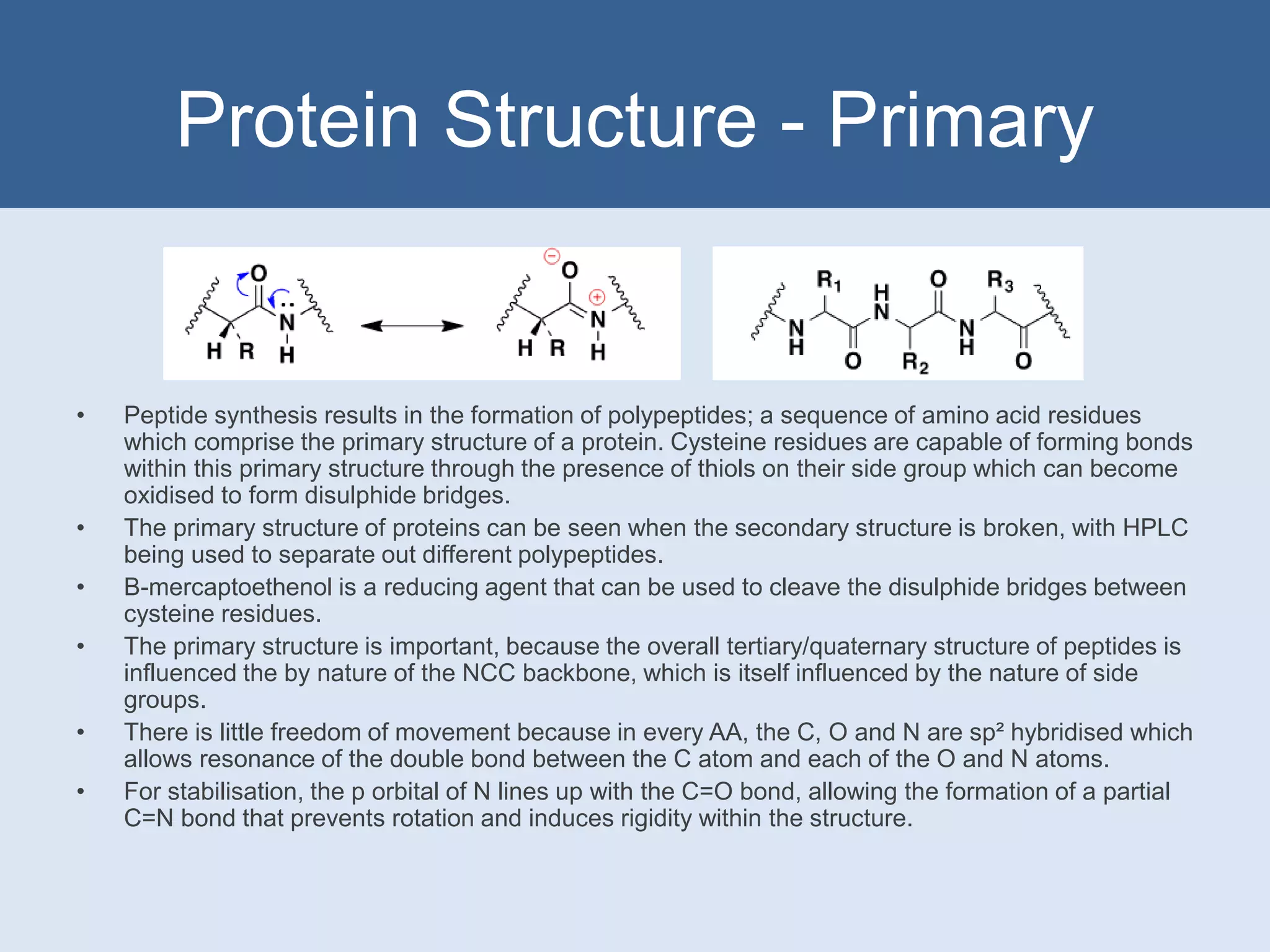 Amino acids, peptides and proteins | PPTX