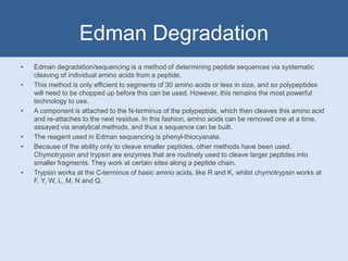 Amino acids, peptides and proteins | PPTX