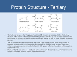 Amino acids, peptides and proteins | PPTX