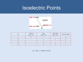 Amino acids, peptides and proteins | PPTX