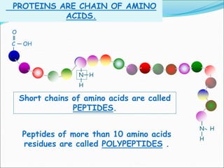 Amino Acids & Peptides (Building blocks of Proteins)).ppt