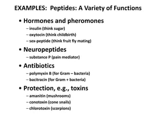 Amino acids, peptides proteins | PPTX