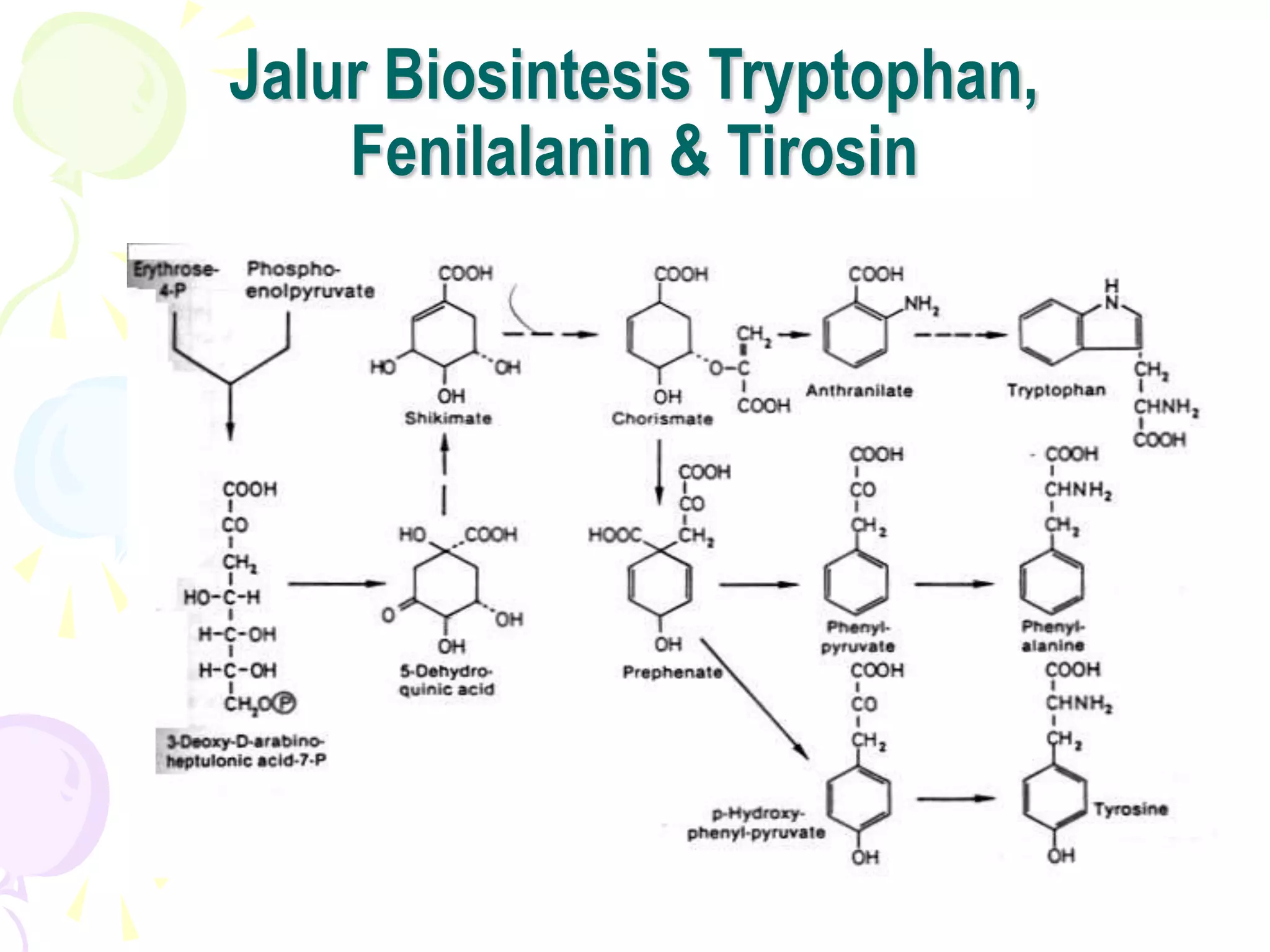 AMINO ACIDS pk4.ppt