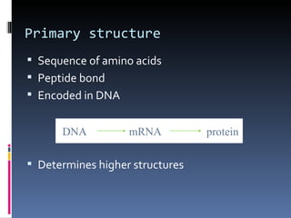 Amino acids & proteins | PPT