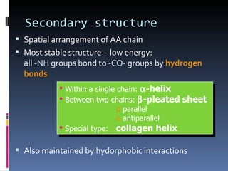 Amino acids & proteins | PPT