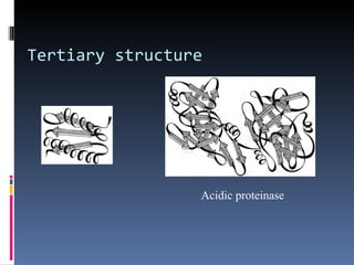 Amino acids & proteins | PPT