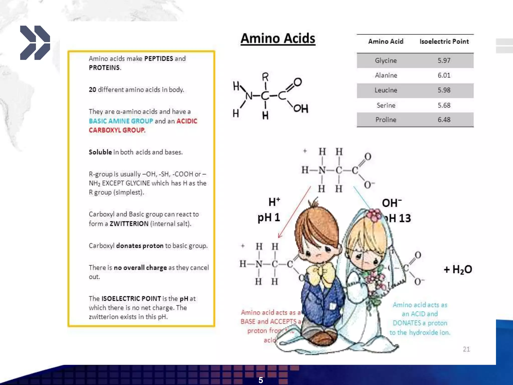 Amino acids & proteins by dr. pramod r. padole | PPT