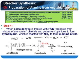 Amino acids & proteins by dr. pramod r. padole | PPT