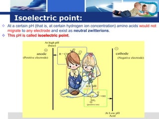 Amino acids & proteins by dr. pramod r. padole | PPT