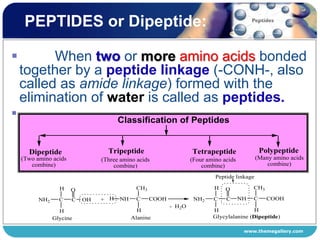 Amino acids & proteins by dr. pramod r. padole | PPT