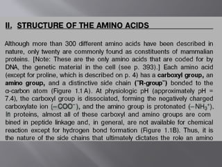 Amino Acids are the building blocks of proteins | PPTX