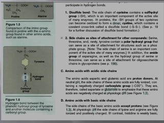 Amino Acids are the building blocks of proteins | PPTX