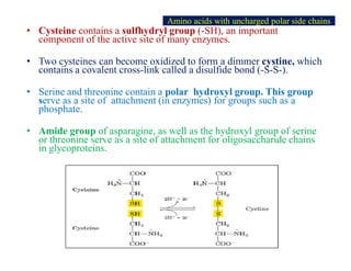 Amino acids structure | PDF | Chemistry | Science