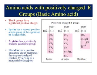 Amino acids structure | PDF | Chemistry | Science
