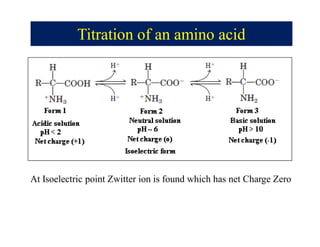 Amino acids structure | PDF
