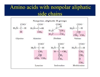 Amino acids structure | PDF | Chemistry | Science