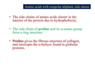 Amino acids structure | PDF | Chemistry | Science