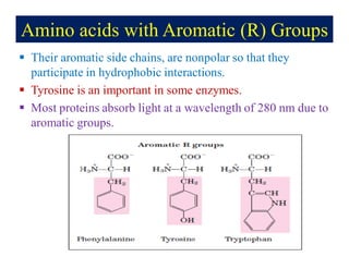 Amino acids structure | PDF | Chemistry | Science