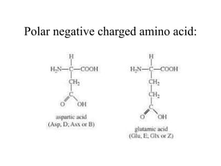 Amino acid structure classification and properties | PPTX