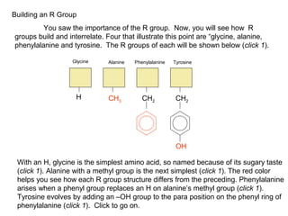 Amino acids tutorial | PPT
