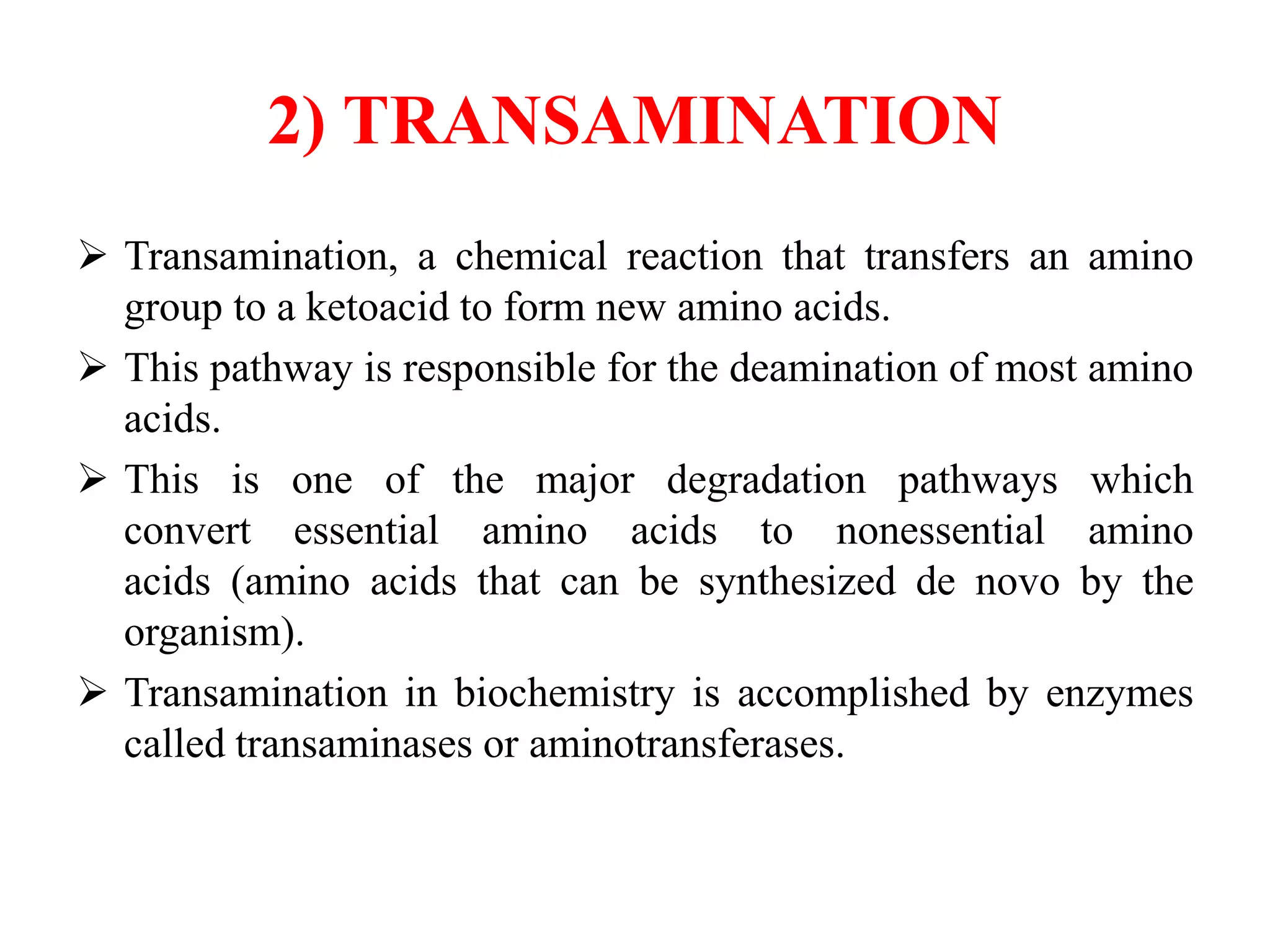 Amino acid synthesis | PPTX