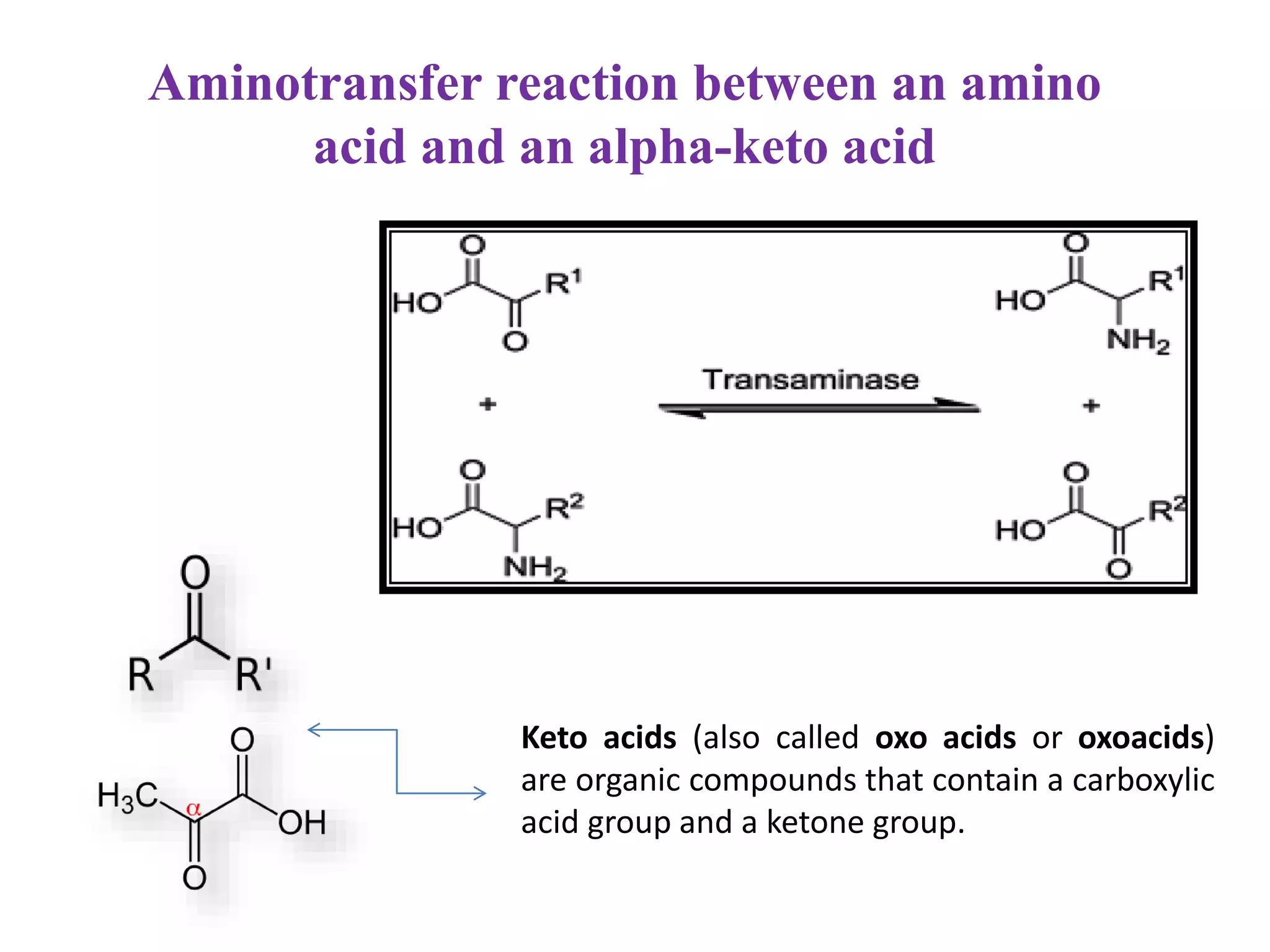 Amino acid synthesis | PPTX
