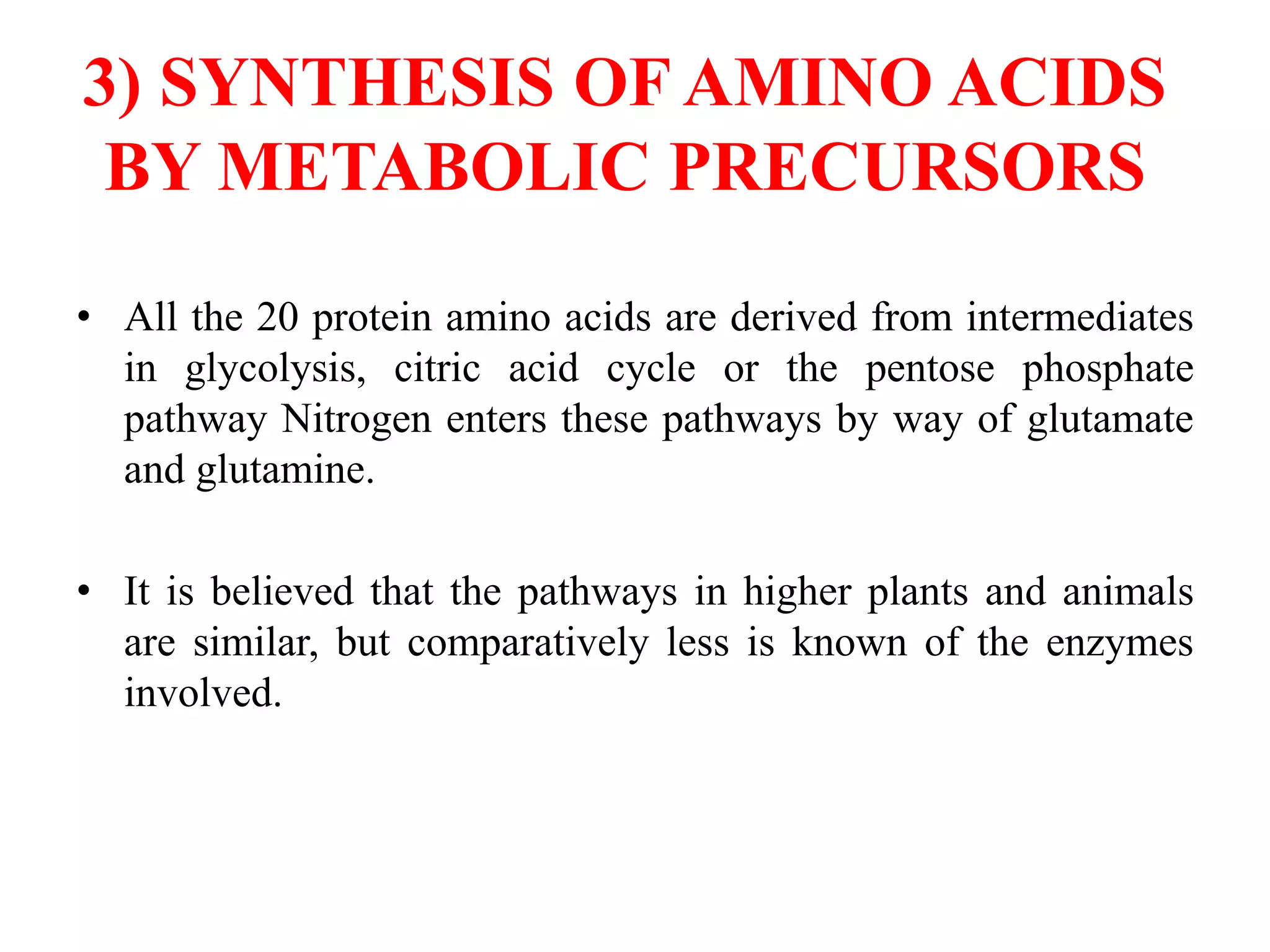 Amino acid synthesis | PPTX