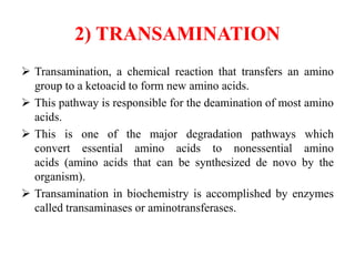 Amino acid synthesis | PPTX