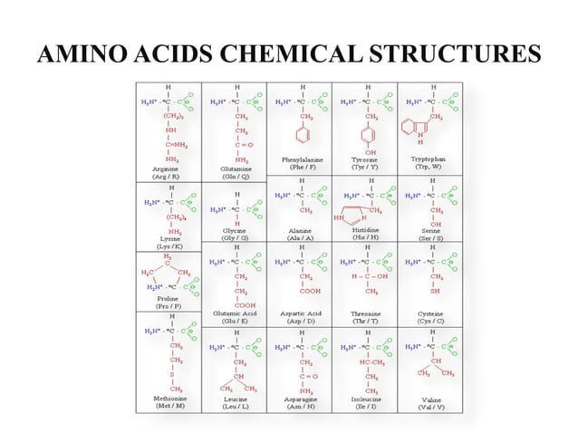 Amino acid synthesis | PPTX