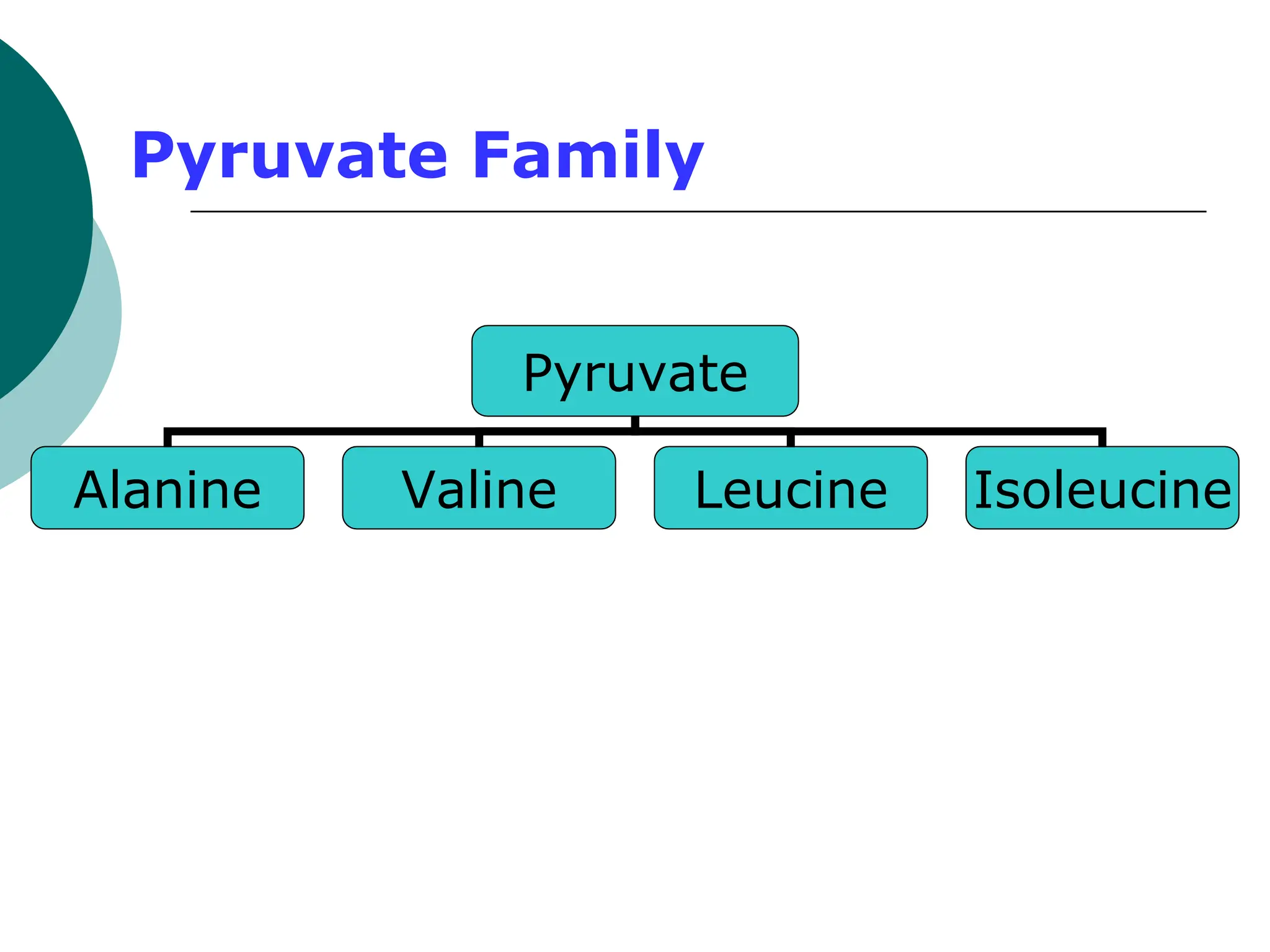 Amino acid synthesis IN living organisms | PPT