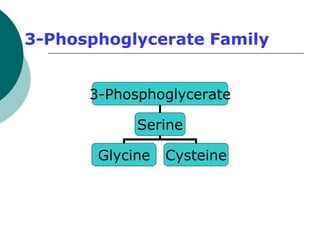 Amino acid synthesis IN living organisms | PPT | Chemistry | Science