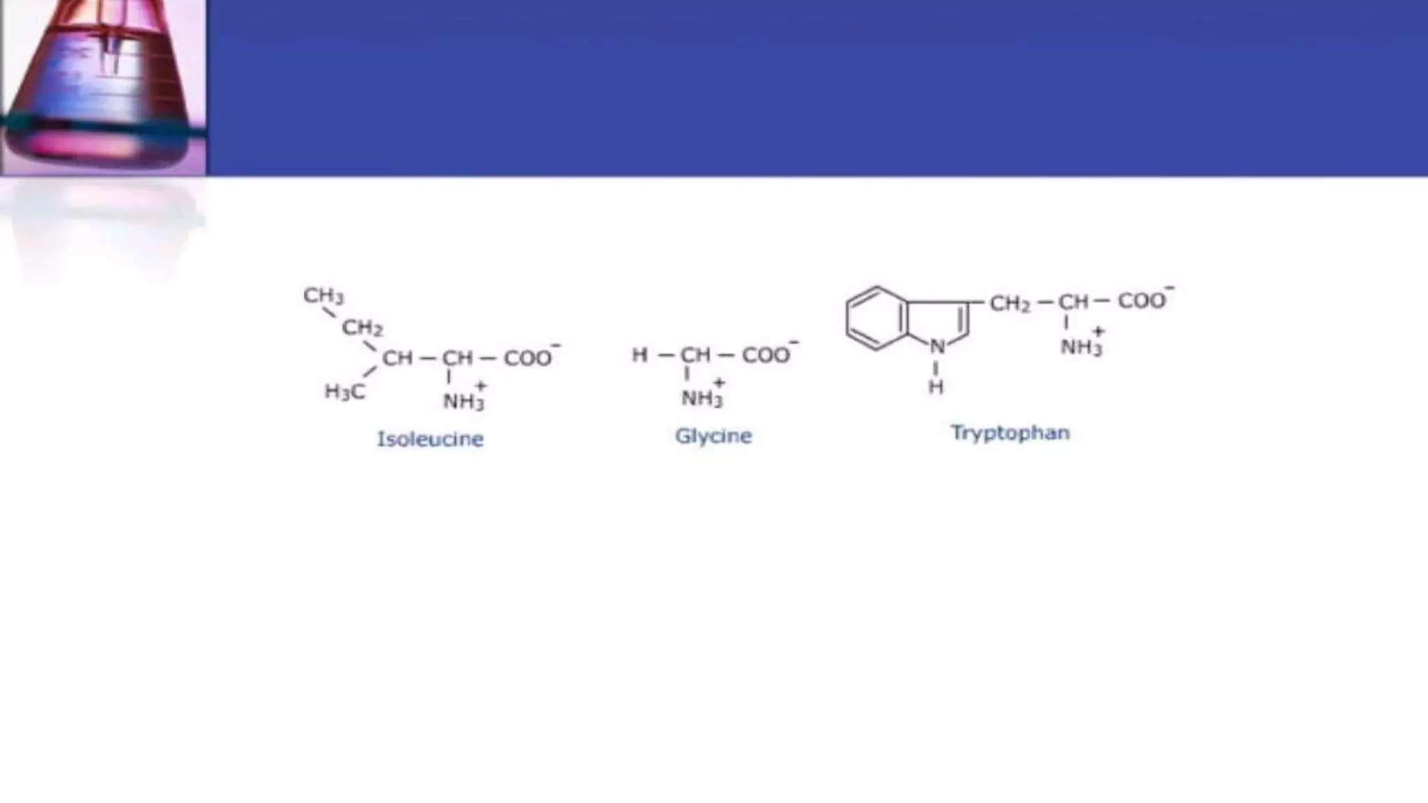 Amino acid topic 1.pptx